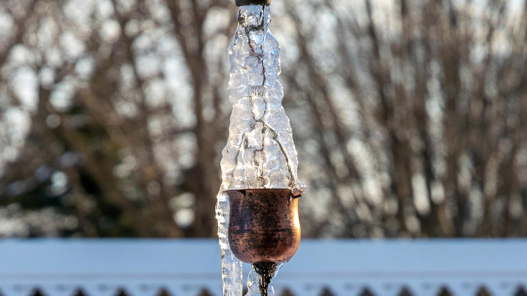 'I bet it sounds lovely when it rains' — DIYer creates a garden rain ...