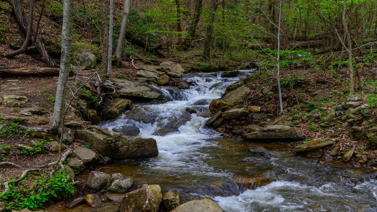 North Georgia’s 729-foot waterfall is also your on-ramp to the ...