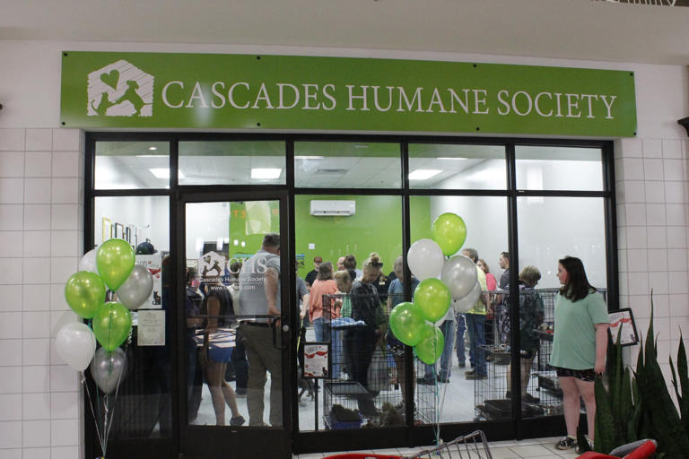 Cascades Humane Society opens new location inside Jackson Crossing mall