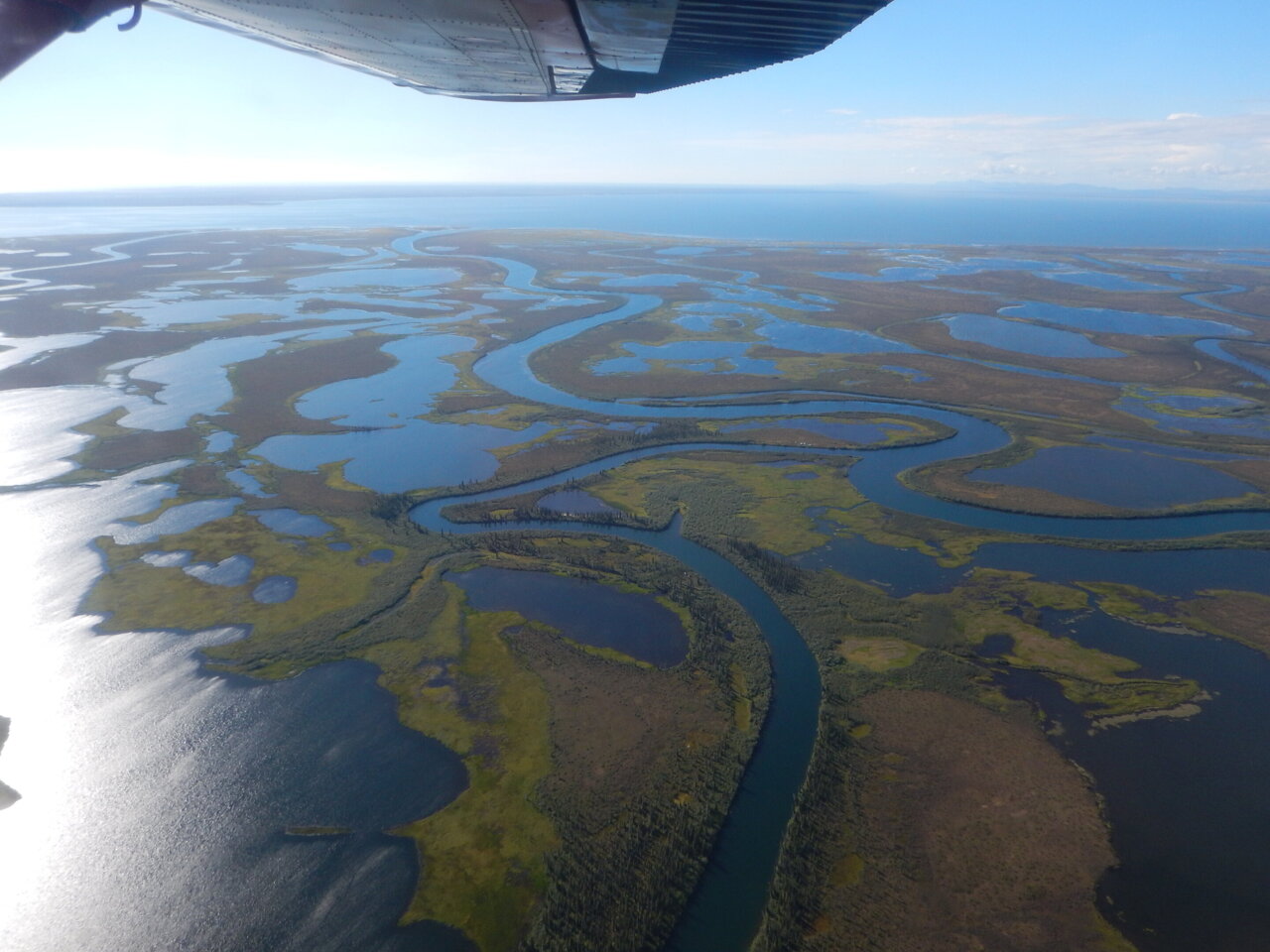 Arctic river deltas face rising climate pressure while holding vast ...
