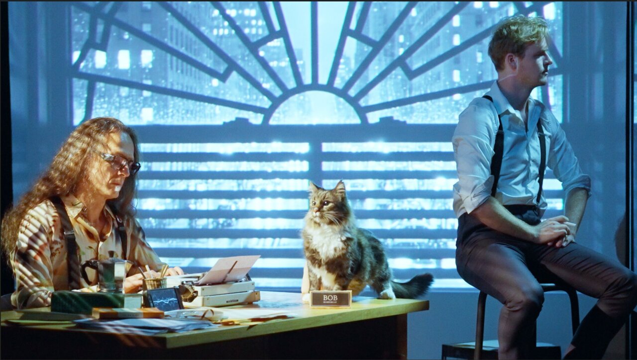 'Don't scare the cat!' Engineers find smarter way to measure quantum ...