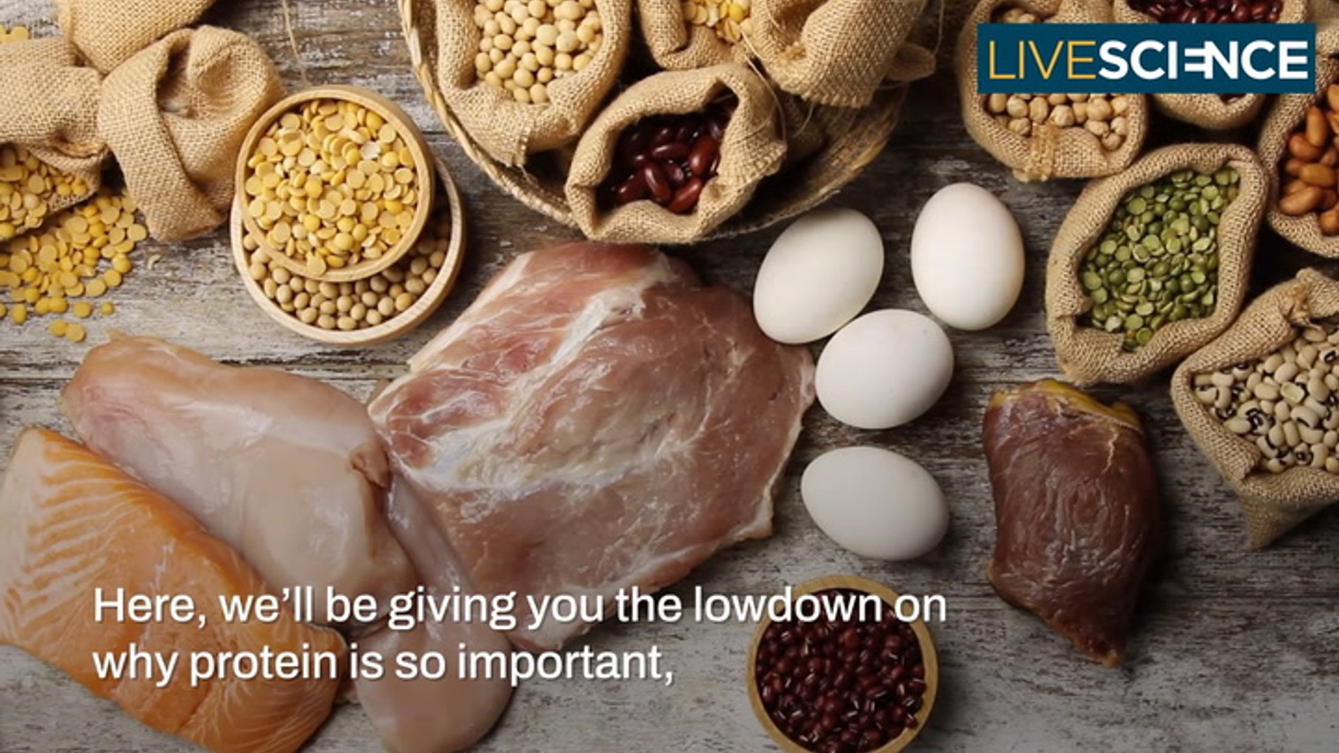 Do you need to eat meat to get protein?