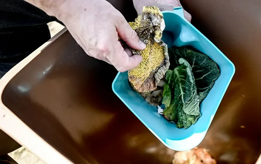 Small changes to shrink your home waste