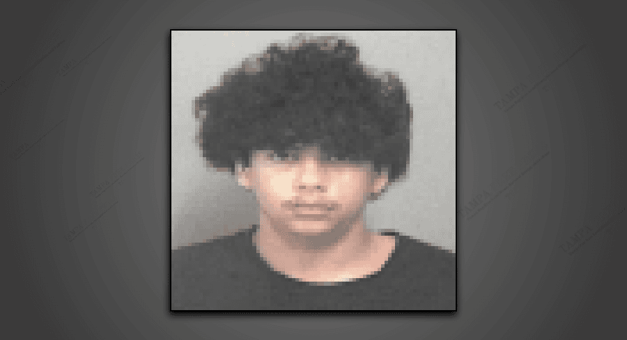 Search underway in New Port Richey: Have you seen 16-year-old Giovanni ...