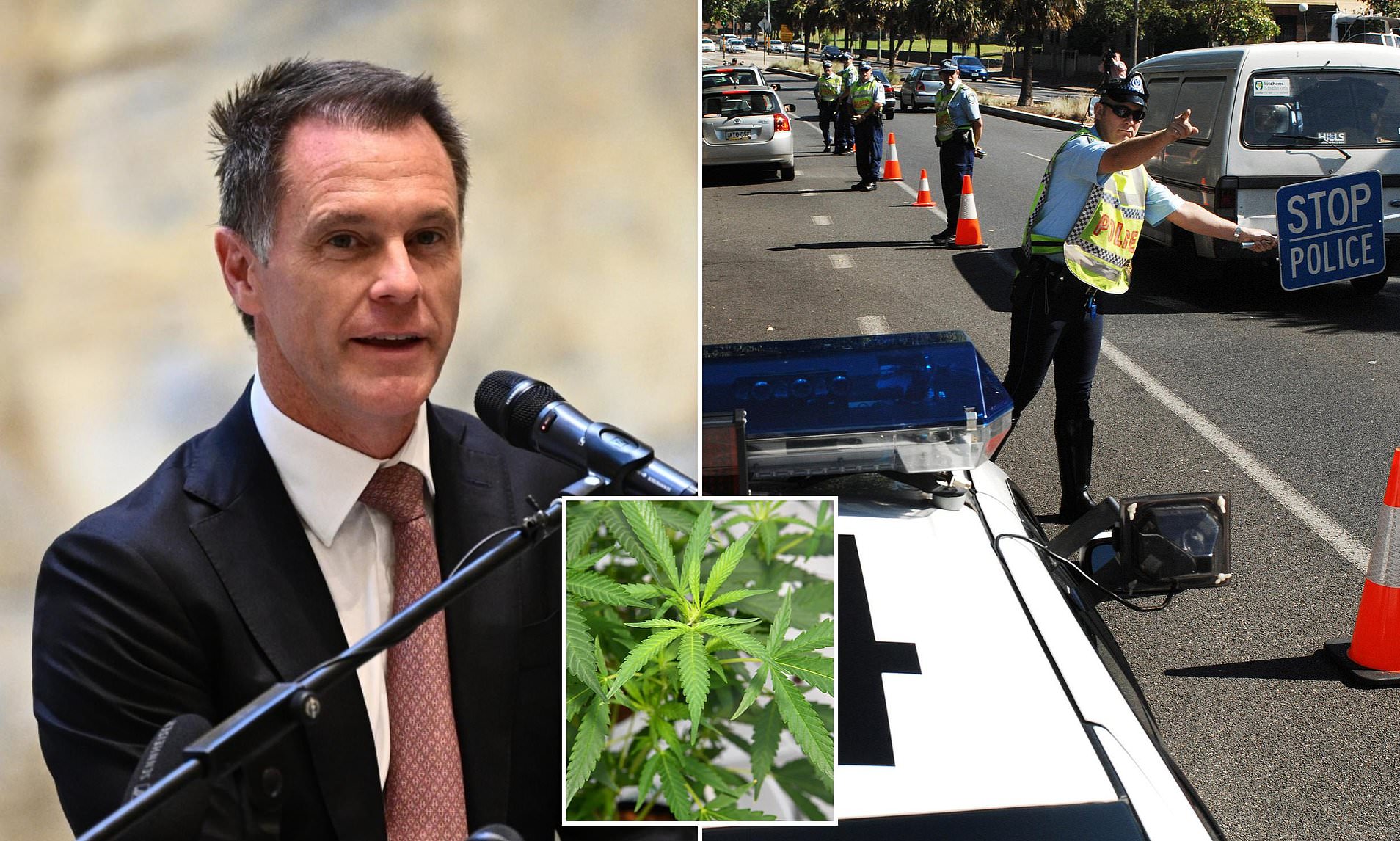 Controversial law change to let medical cannabis patients drive without ...