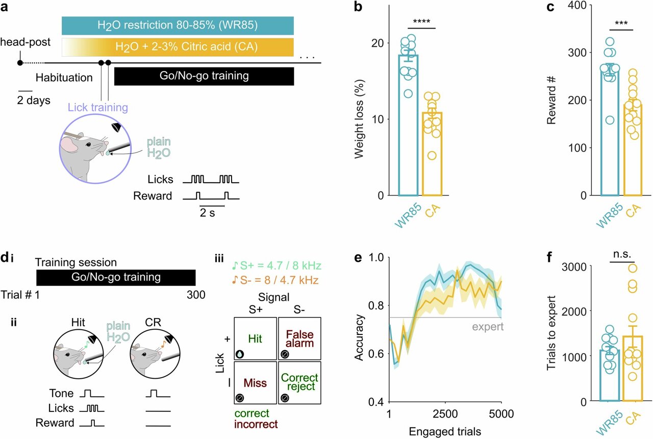 Habits form far faster than previously thought, research shows