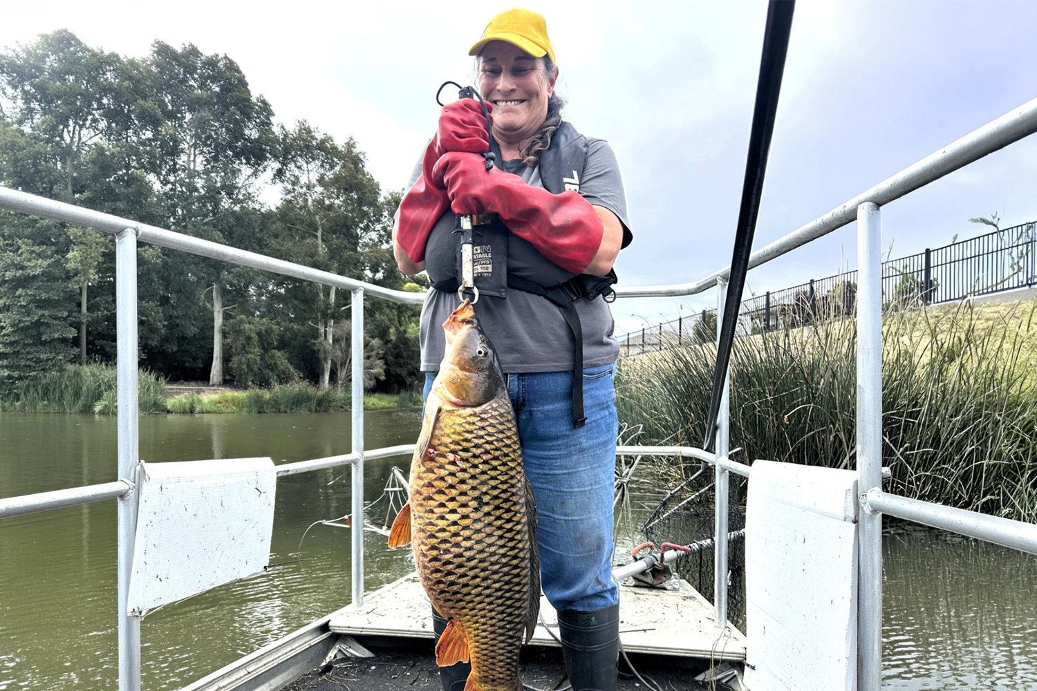 12kg catch in Aussie waterway reveals huge war against invasive pest ...
