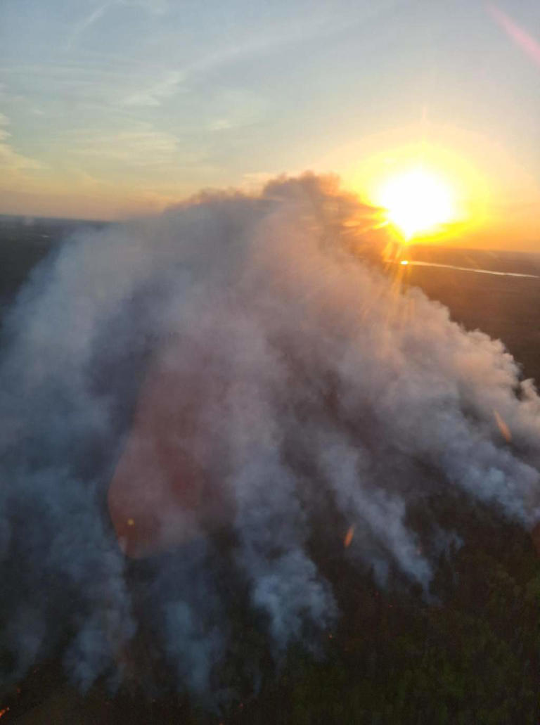 Red Earth, Shoal Lake Cree Nation evacuees home as wildfire situation ...