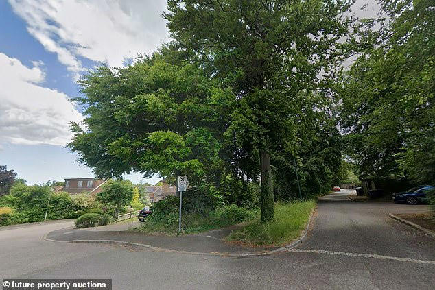 Villagers are forced into buying up pockets of land near their homes to ...