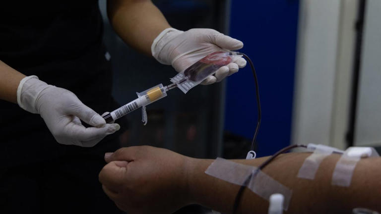 Maratón nacional del donante de sangre en México: "Cada donante puede ...
