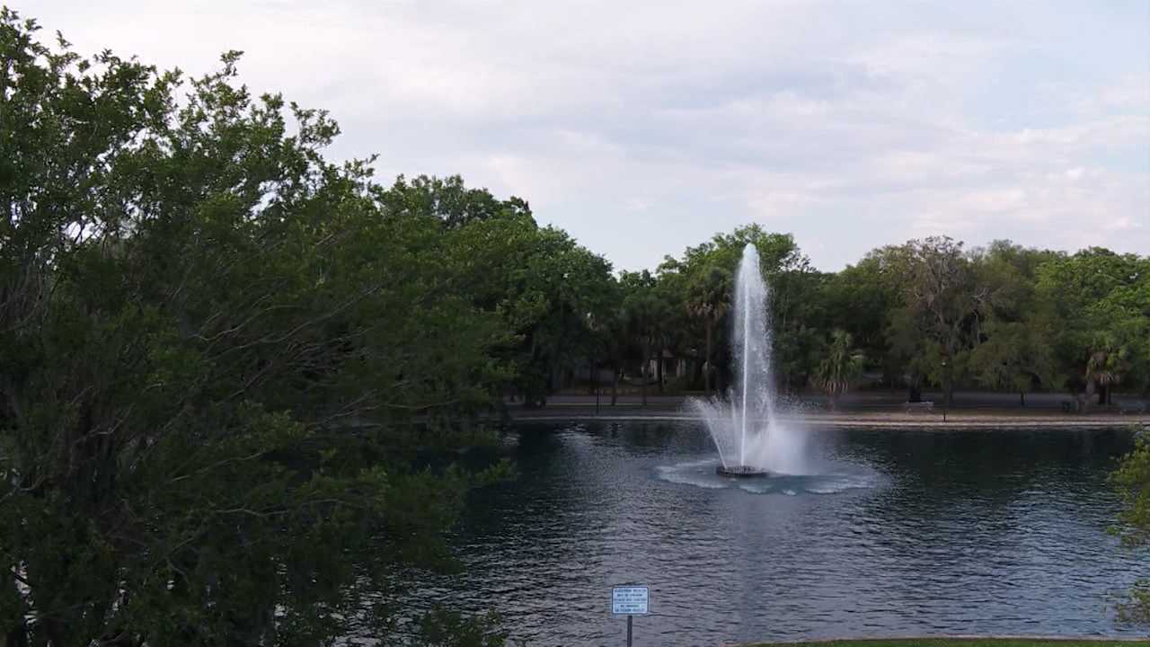 Savannah men indicted in Daffin Park armed robbery tied to gang activity