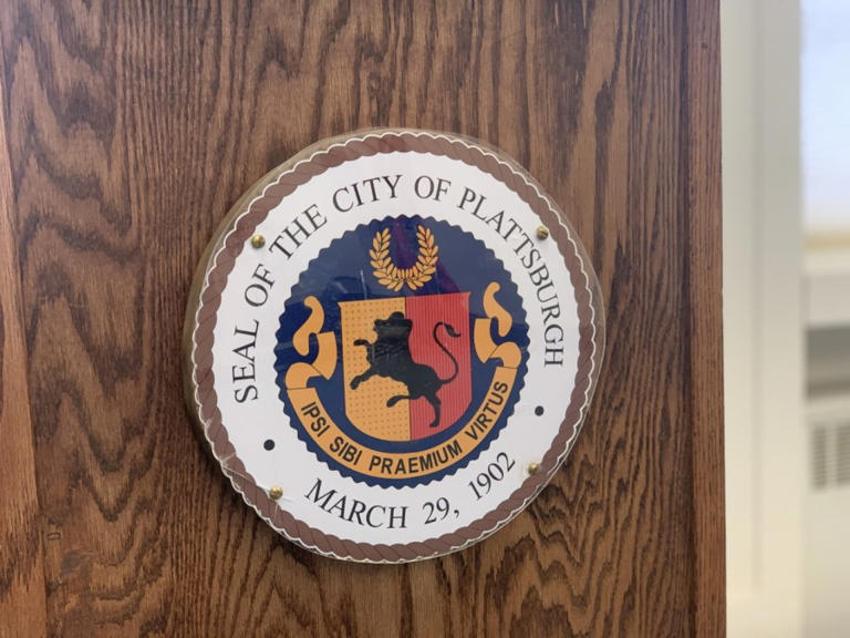 Report details Plattsburgh emergency services operations