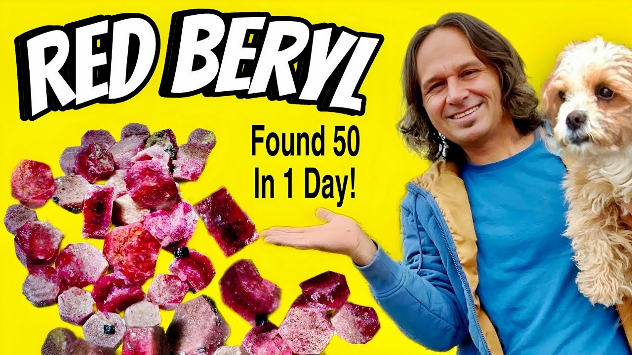 A rare opportunity to explore red beryl in Utah! Open to public!