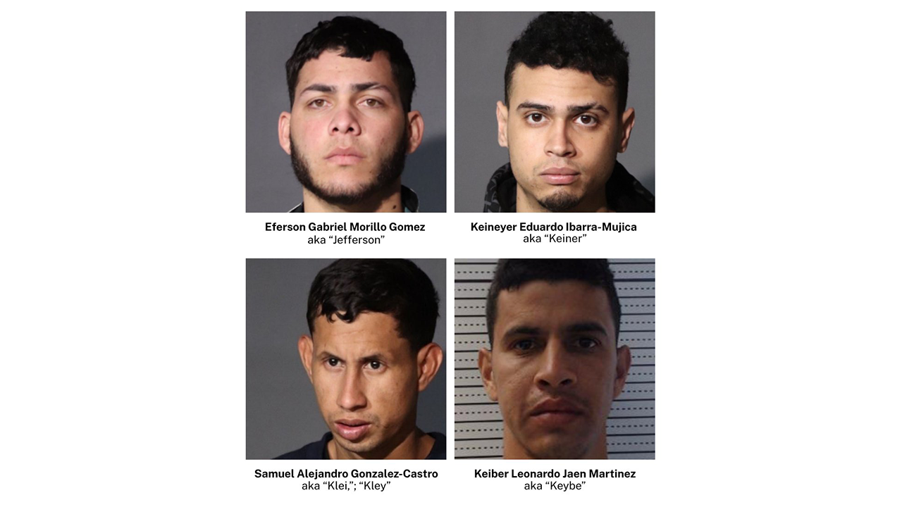 Venezuelan gang members who entered US illegally plead guilty to ...