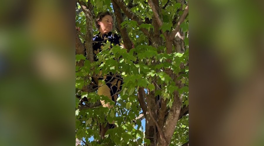 Hillsboro West End resident pushes back against NES tree trimming