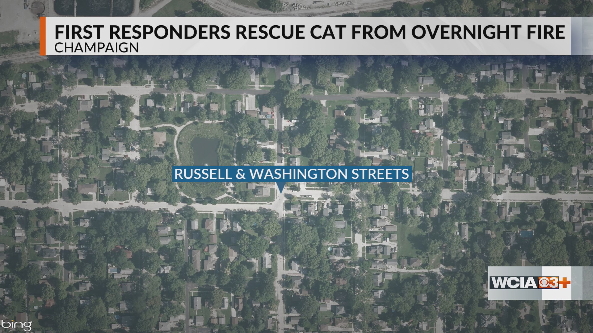 Champaign Fire DEPT. rescues cat from overnight house fire