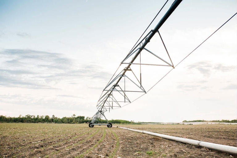 Verwey Farms and others targeted by copper wire vandals
