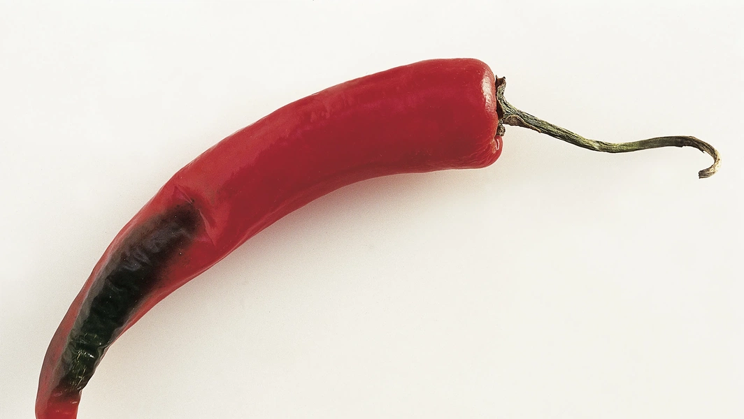 14 foods and materials unsafe to microwave