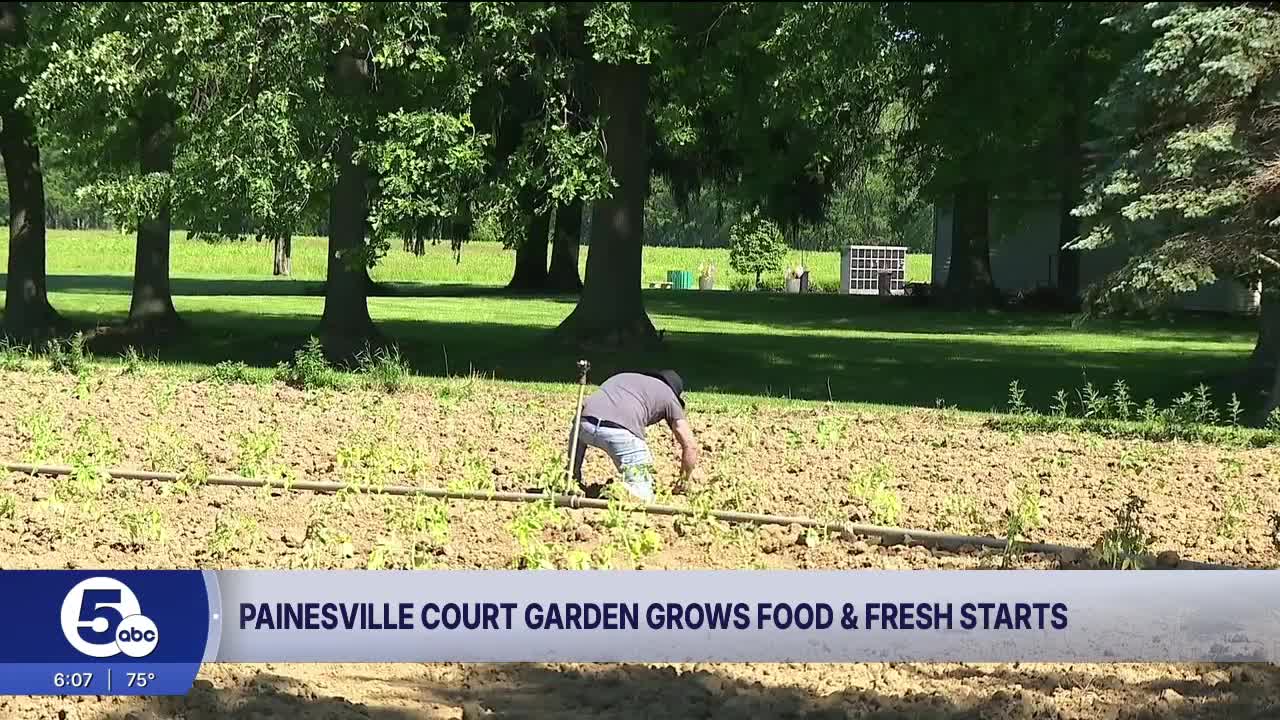 Painesville Municipal Court Garden gives misdemeanor offenders a second ...