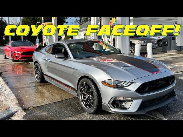 FACE-OFF! 2021 Mach-1 MUSTANG vs GT 5.0 10Speed! *Surprise Winner