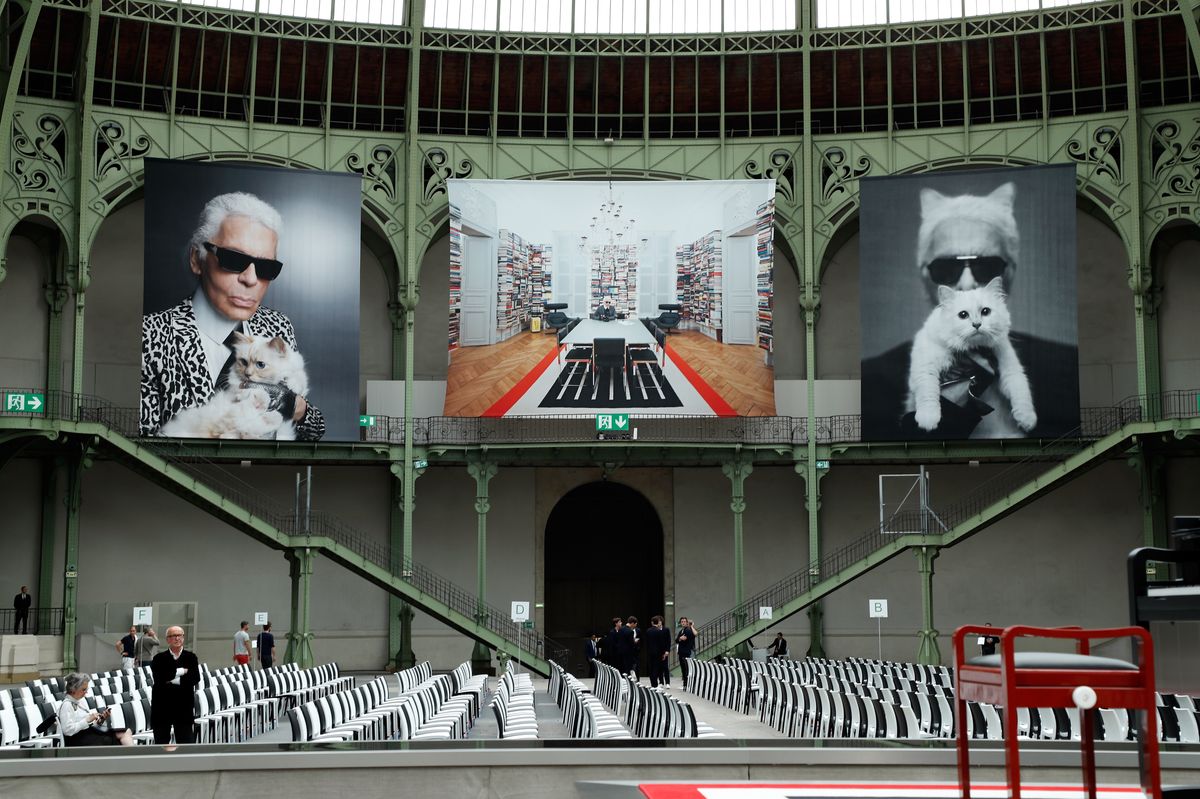Karl Lagerfeld's cat Choupette still waiting for her inheritance — six ...