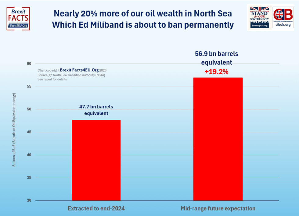 Ed Miliband's £200bn net zero gamble risks 250k jobs and buries North ...