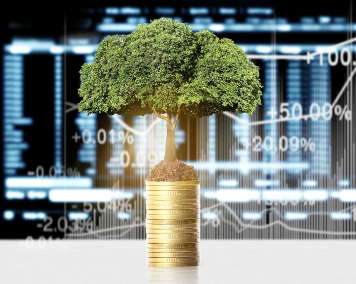 Local sustainable bond issuance exceeds B1.1tn