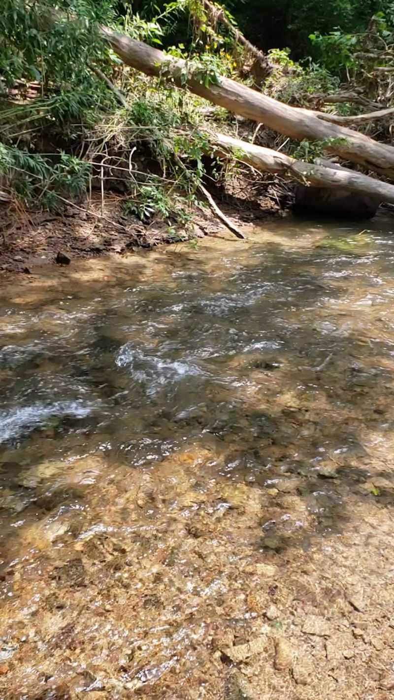 This Historic Indiana Country Store Sits On A Hidden Glacial Gold Creek ...