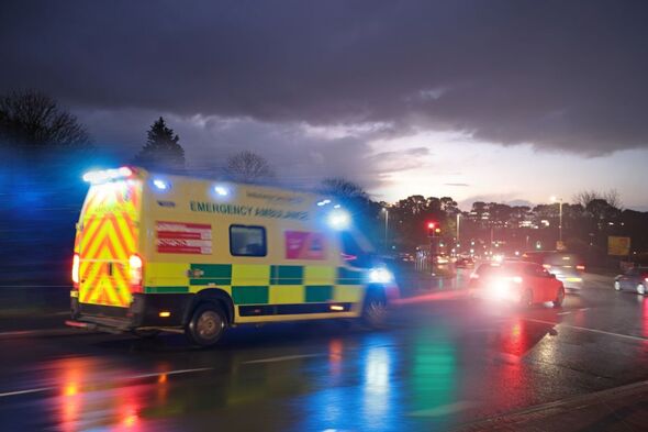 Horror moment woman tells police 'I just killed my mother' after ...