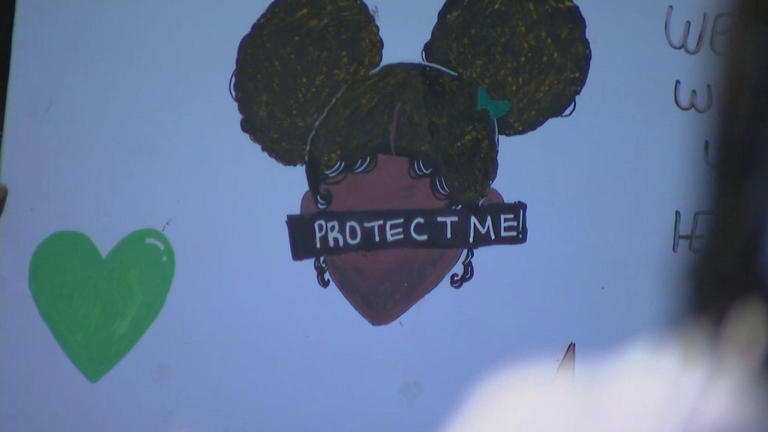 Chicago's 9th annual We Walk for Her march raises awareness for ...