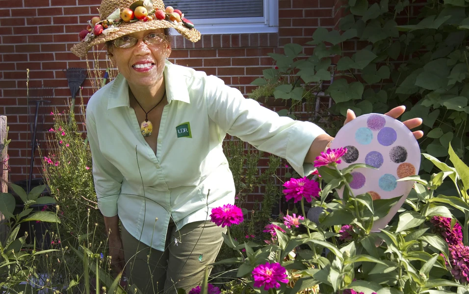 Grow zinnias and ranunculus like a pro