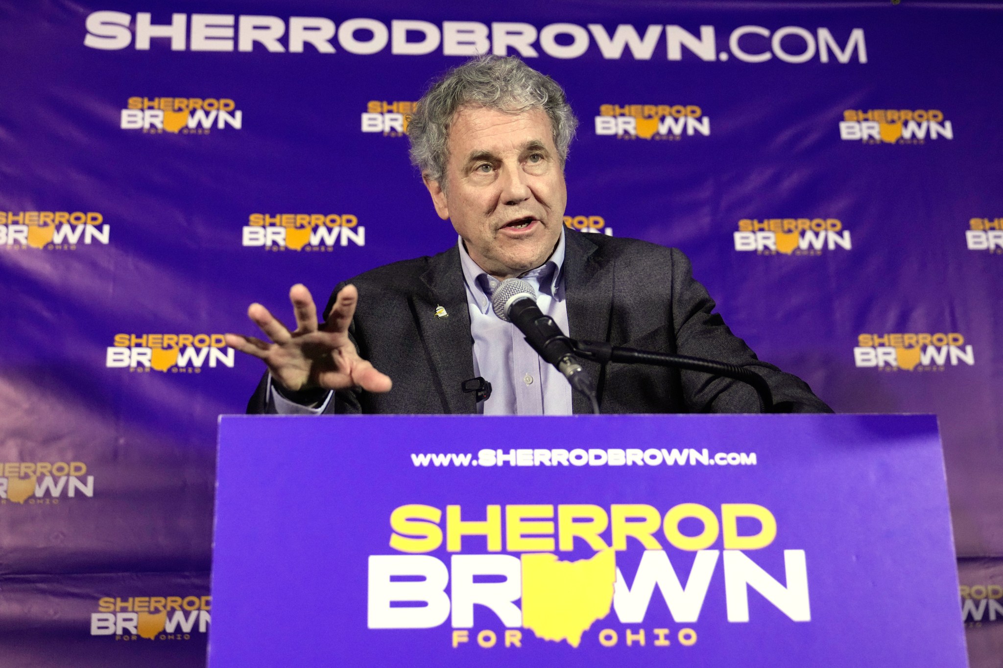 Sherrod Brown's chances of beating Jon Husted in Ohio: Fox News poll