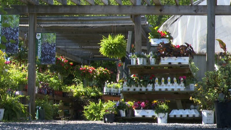 Why the 2026 gardening season started so late