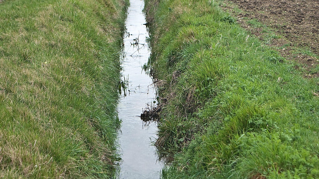Toddler dies after apparently falling into Northern Colorado irrigation ...