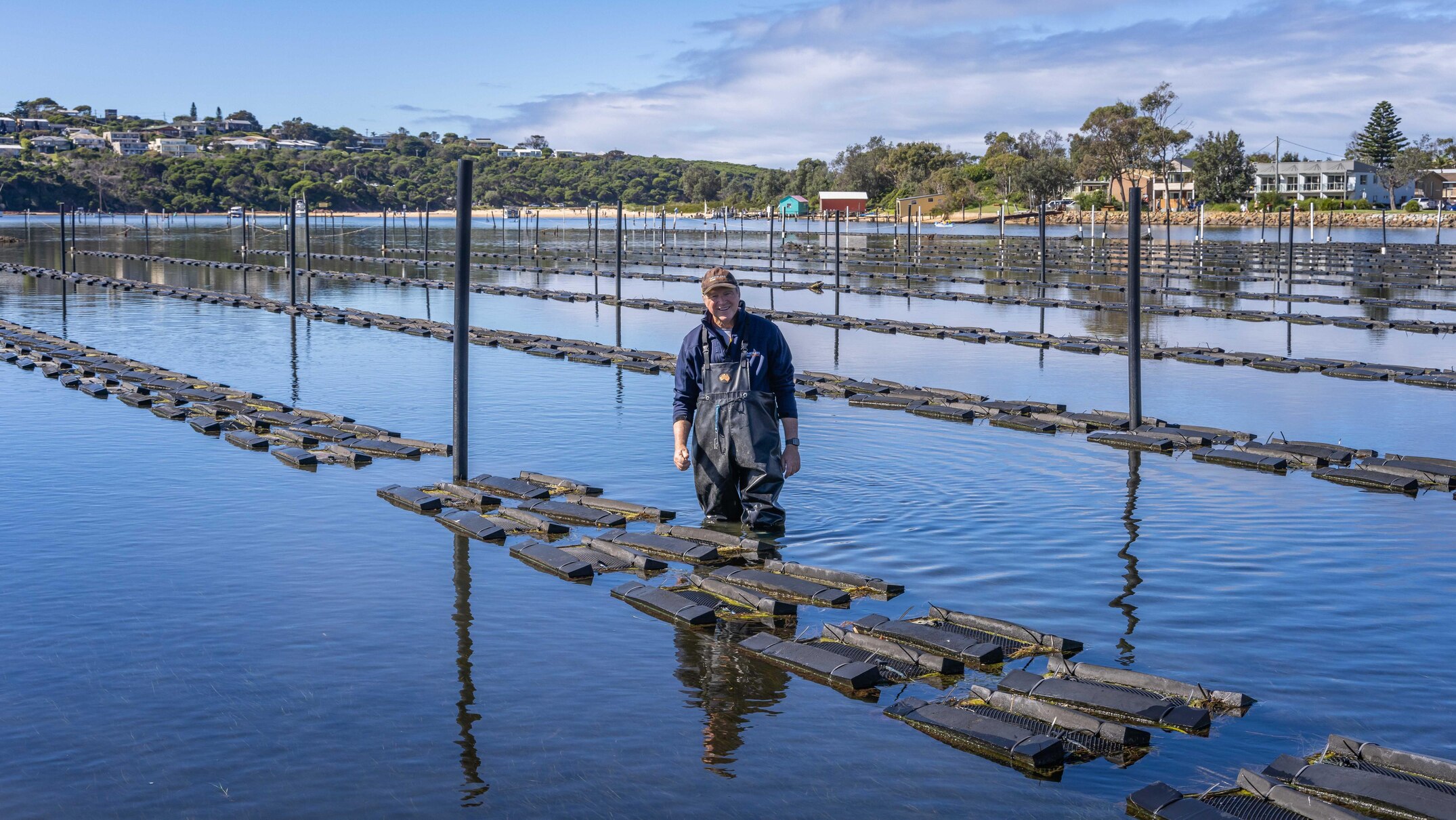 Oyster estuary becomes crown jewel after record breaking year