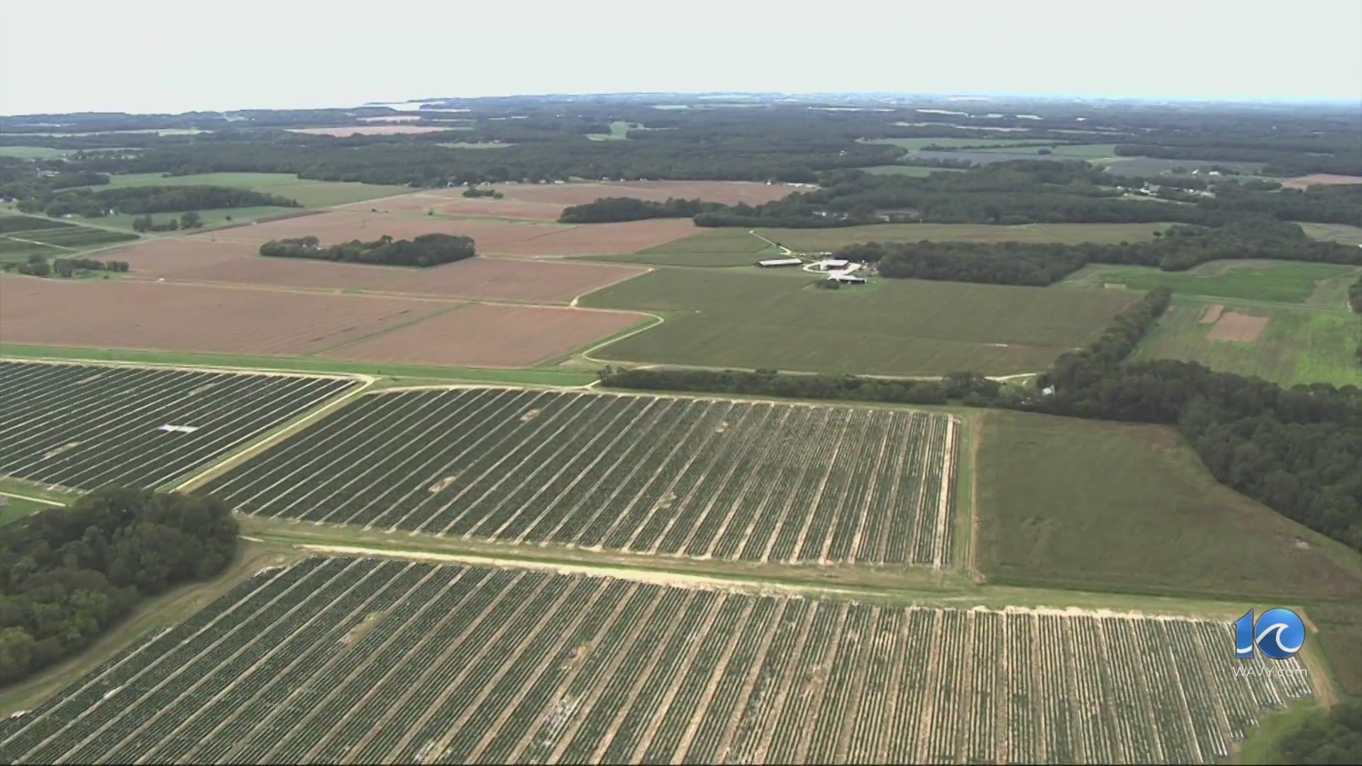 Study finds that sea level rise is causing farmland loss on the mid ...