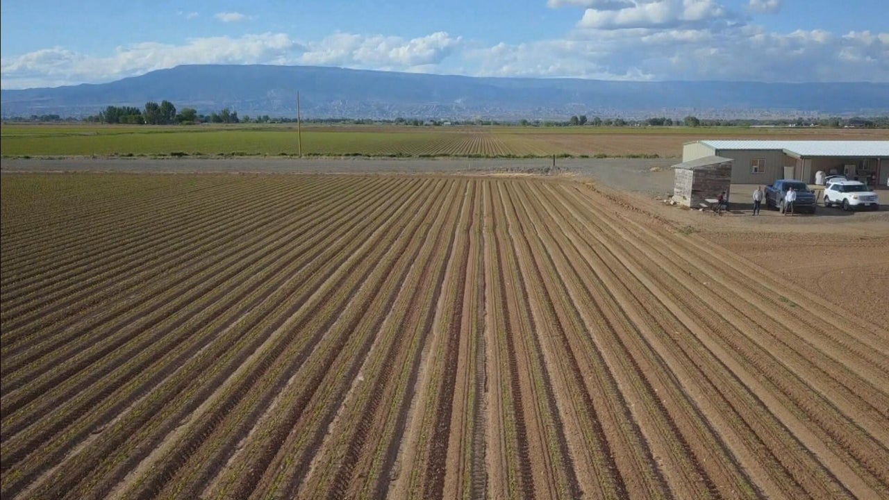Farmers who grow some of Colorado's best-known crops deal with water ...