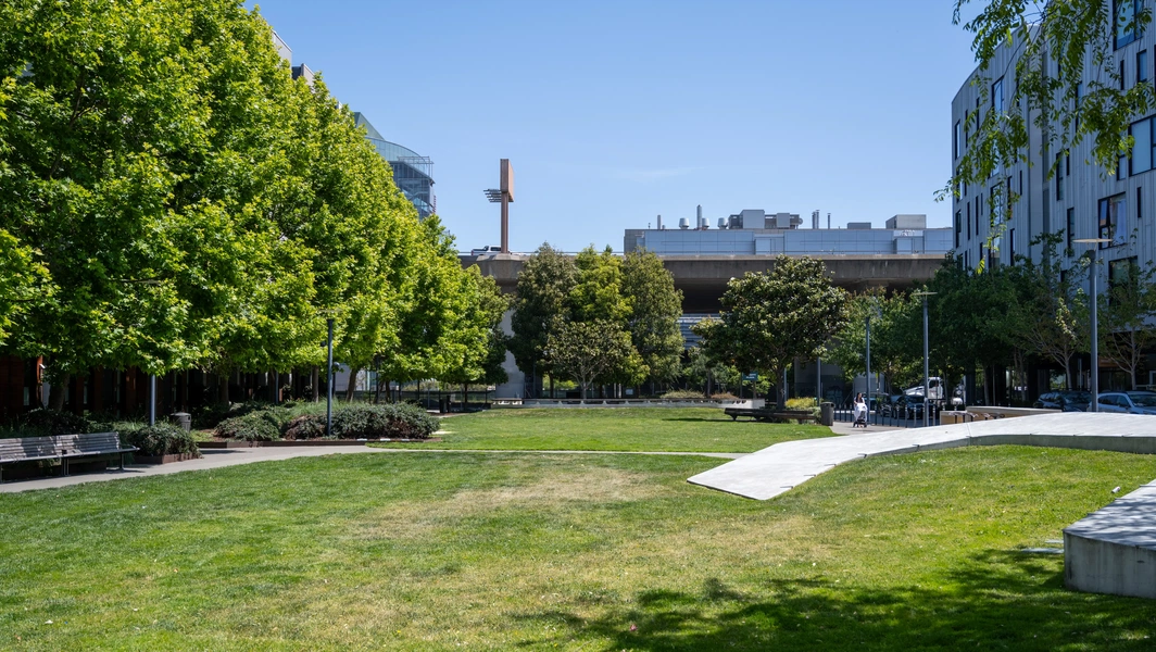 One-hour nature walk lowers brain stress activity, study finds