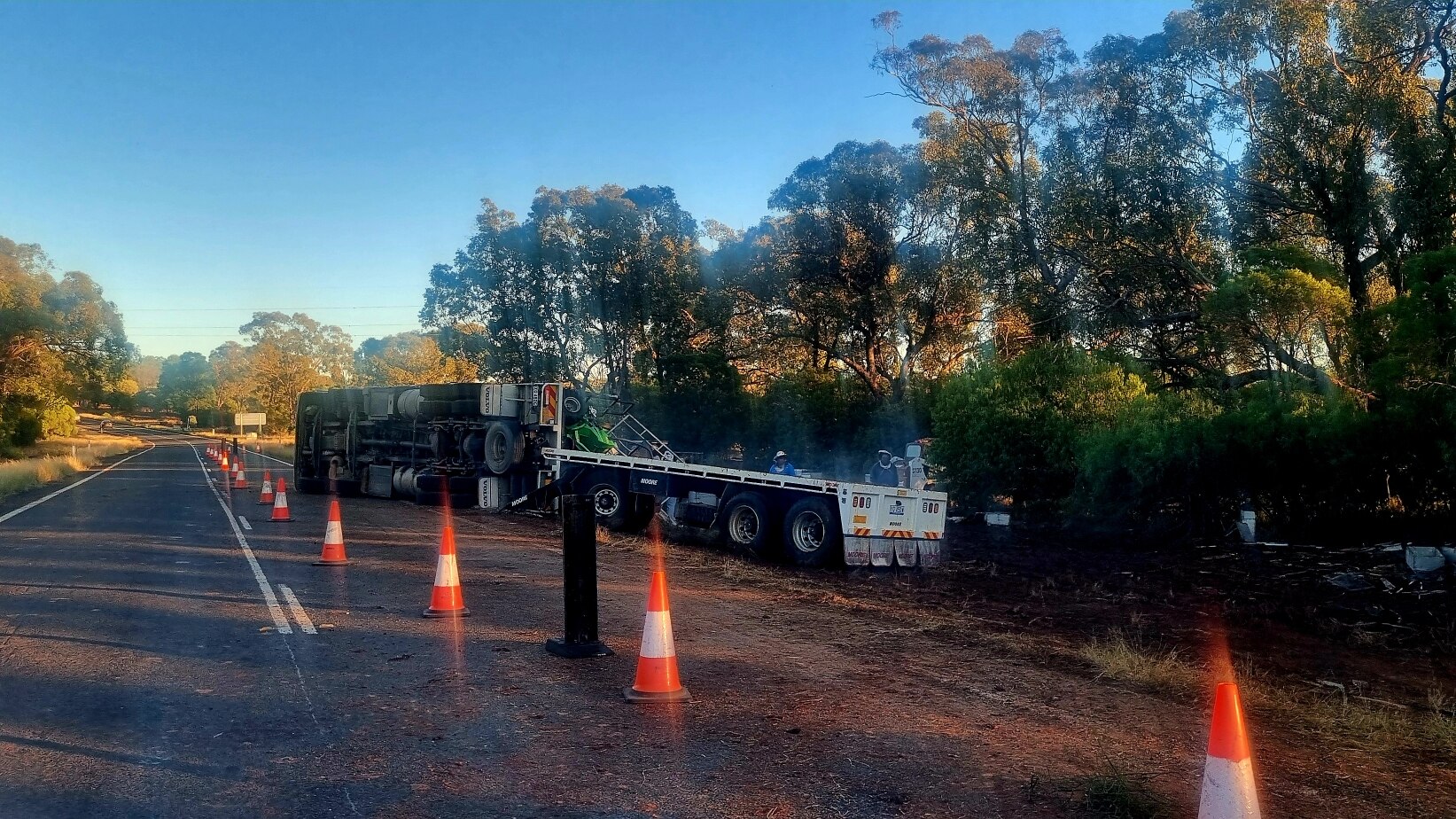 Beekeepers race to save hundreds of beehives after 'confronting' crash