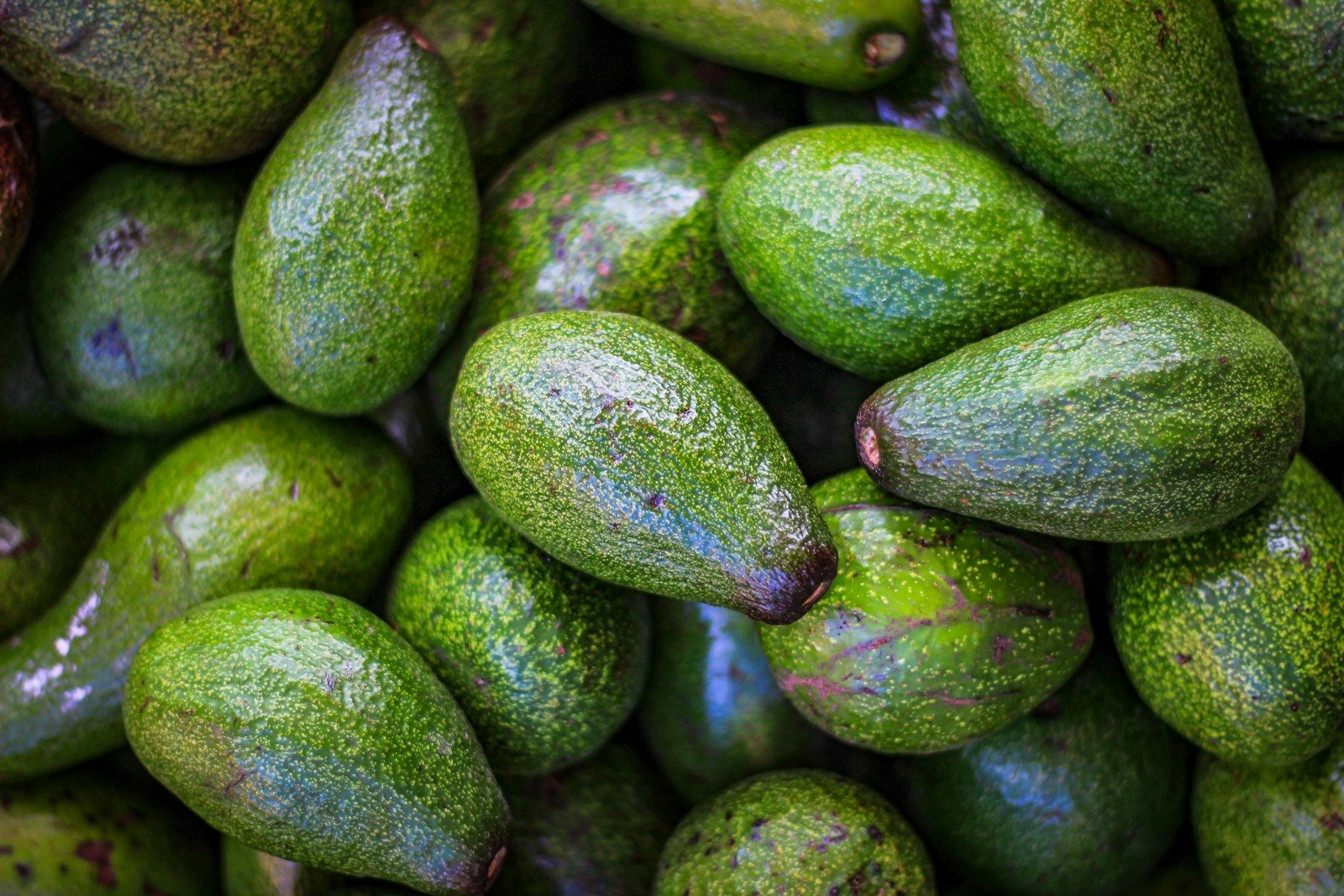 9 reasons avocados are worth adding to your diet every day