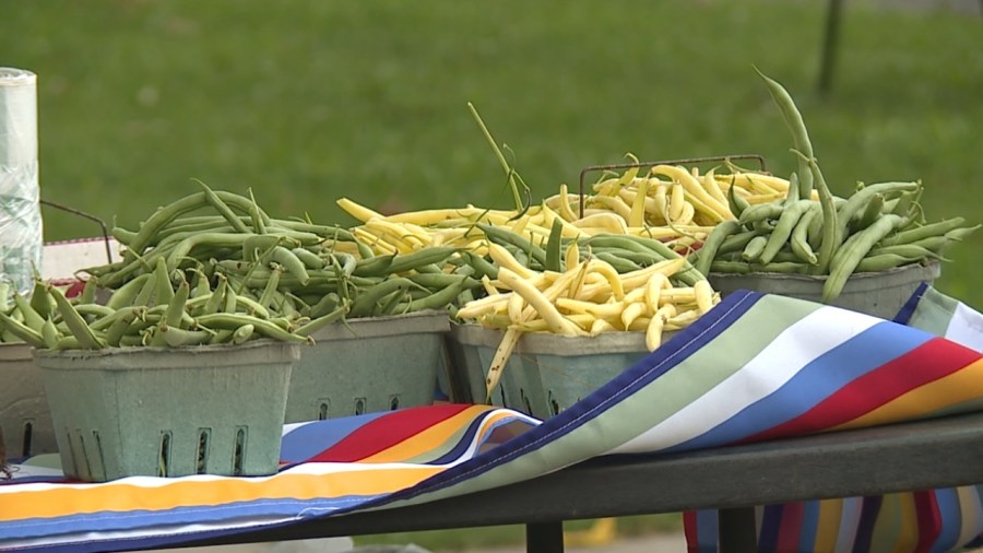 Warren Farmers Market returns this summer