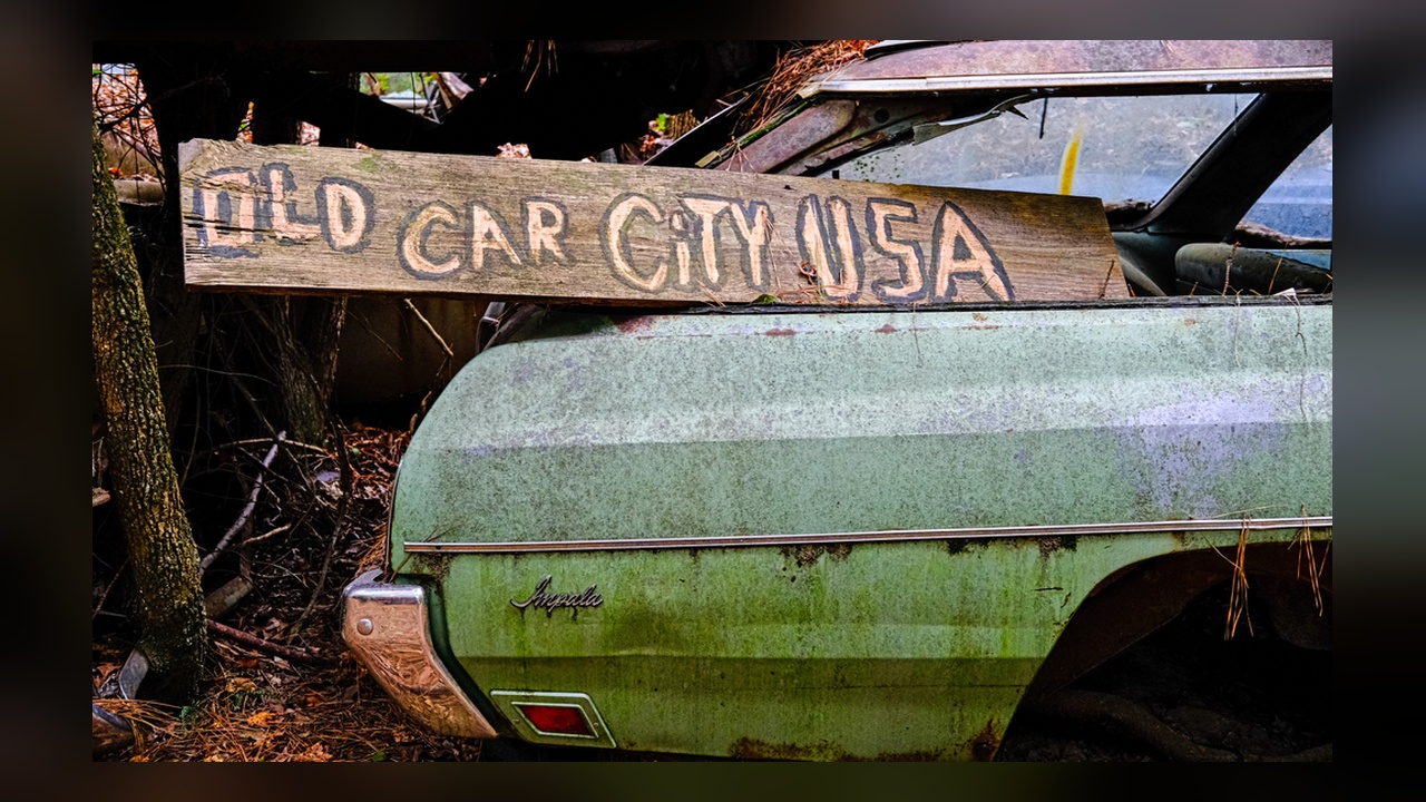 4,000 classic cars are slowly being swallowed by a Georgia pine forest