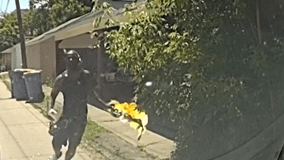 Video: Man shot, killed by Grand Rapids police after throwing Molotov ...