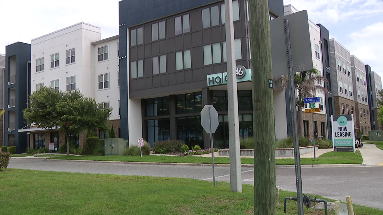 USF students involved in double stabbing, suspect believed to be dead: HCSO