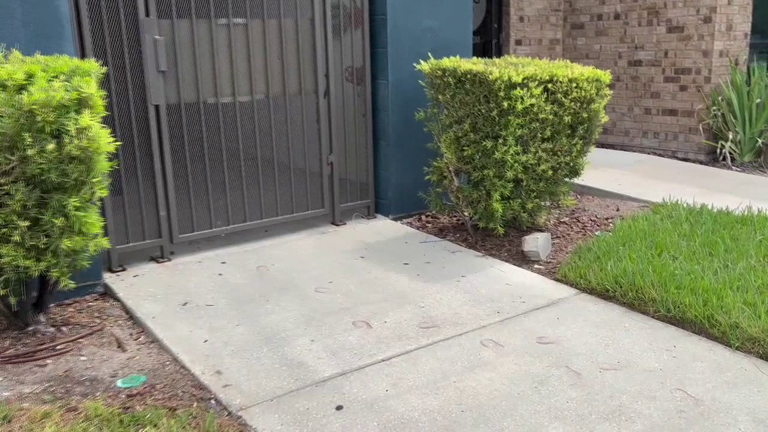 USF students involved in double stabbing, suspect believed to be dead: HCSO