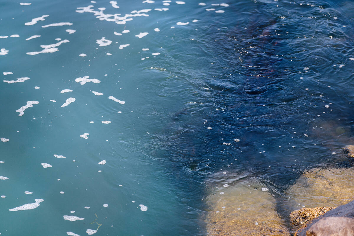 Nevada may ease Colorado River worries with California ocean ...