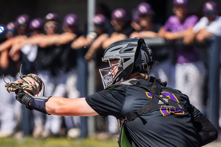 Jaxon Hartley’s shutout lifts Swan Valley to baseball regional ...