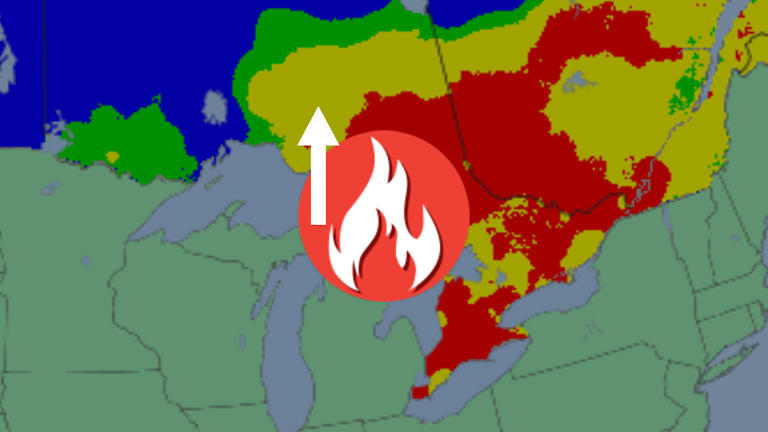 Ontario faces high wildfire danger with dry spell, but there's rain coming