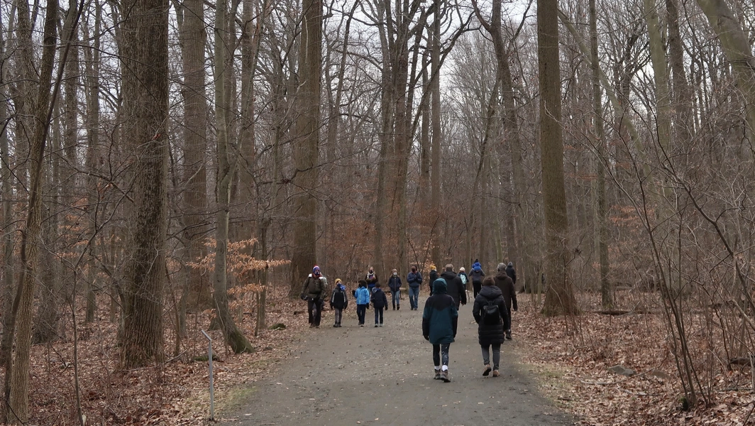 One-hour nature walk lowers brain stress activity, study finds