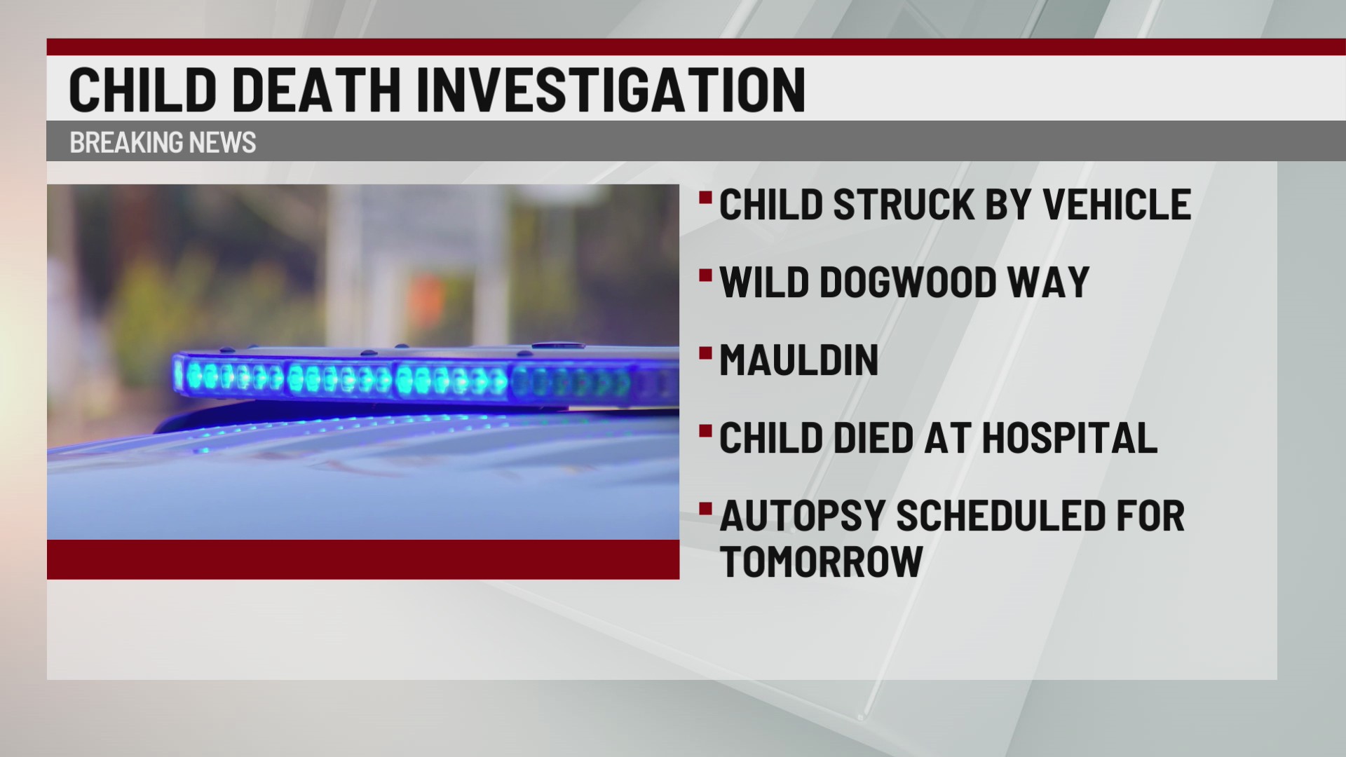 Child dies after being hit by vehicle in Greenville County